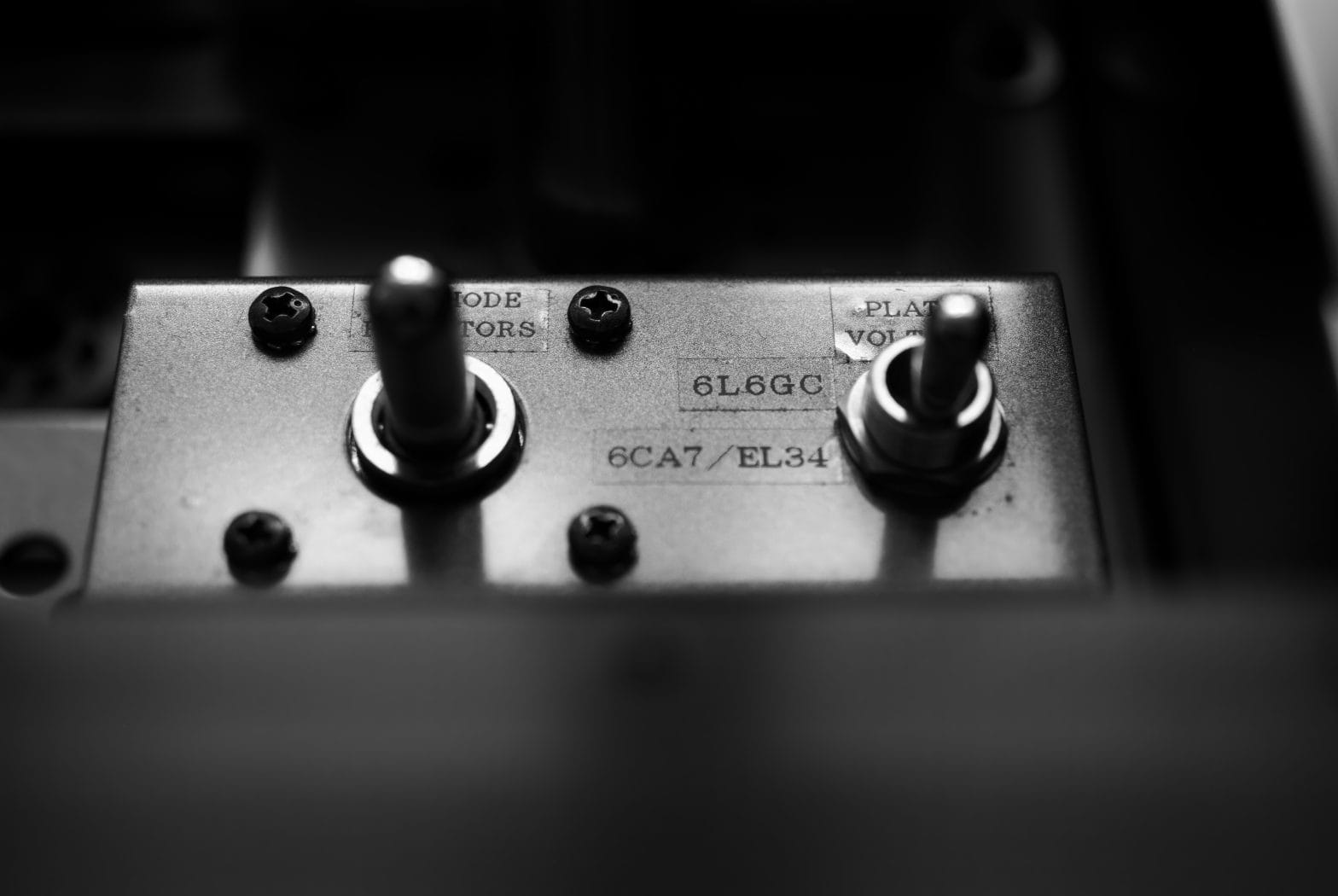 The Leben CS-600 ~ An Introduction to Leben Tube Amplifiers